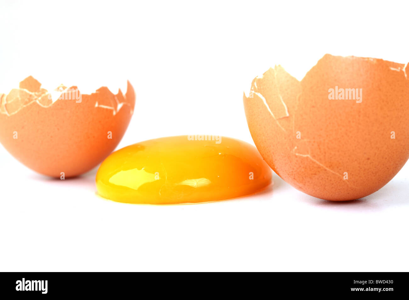 Yellow Egg Yolk Between Cracked Shell Isolated On White Stock Photo - Alamy