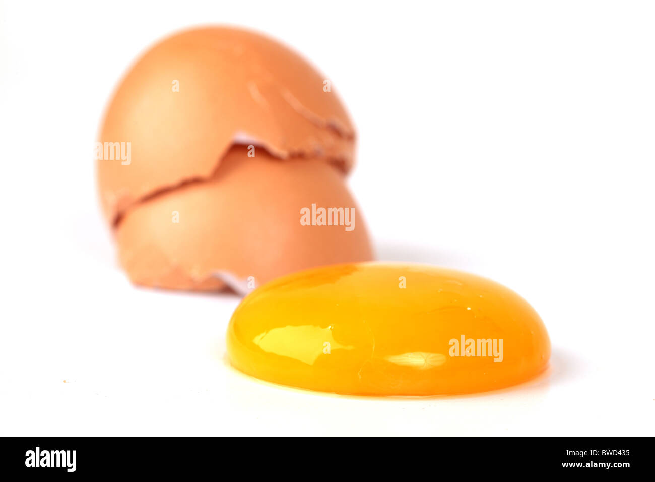 Yellow Egg Yolk With Cracked Shell In The Background Stock Photo - Alamy