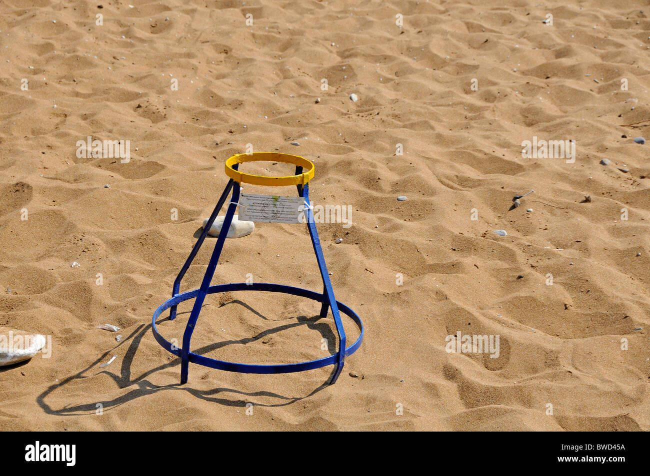 Nest site of Loggerhead Turtle: Caretta caretta. Platanias, Crete ...