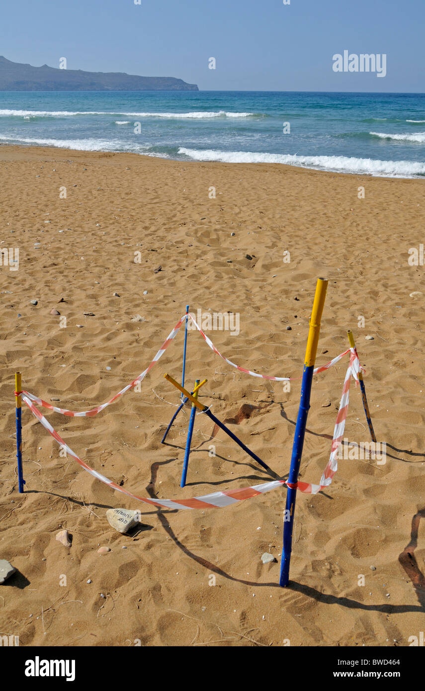 Nest site of Loggerhead Turtle: Caretta caretta. Platanias, Crete ...