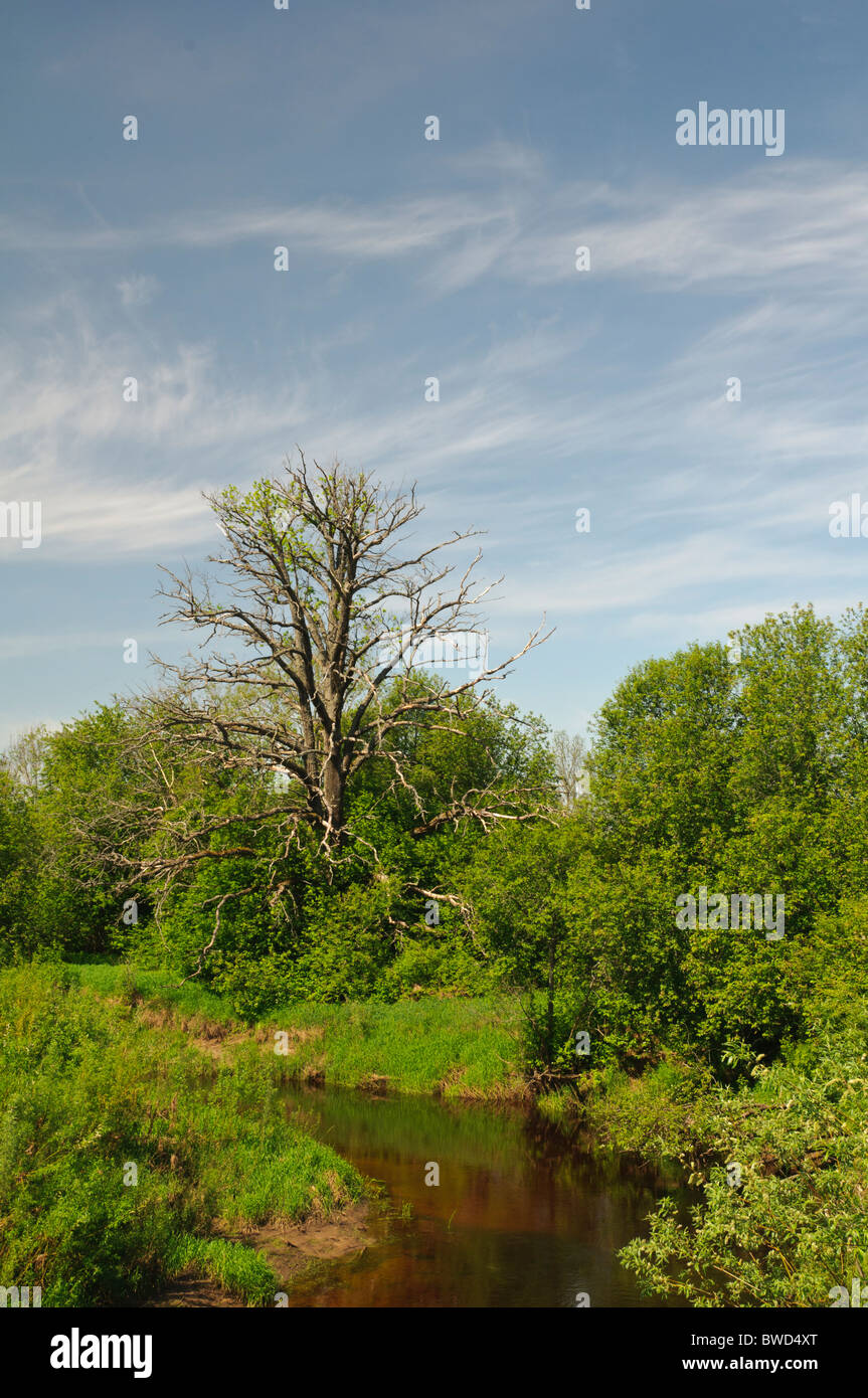 Habitat encroachment hi-res stock photography and images - Alamy