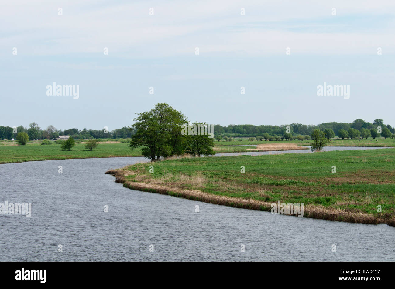 Riverside in Nemunas Delta Regional Park, Lithuania Stock Photo - Alamy