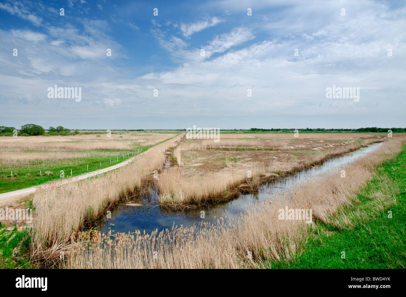 A bend of a roadside ditch in Nemunas Delta region Stock Photo - Alamy