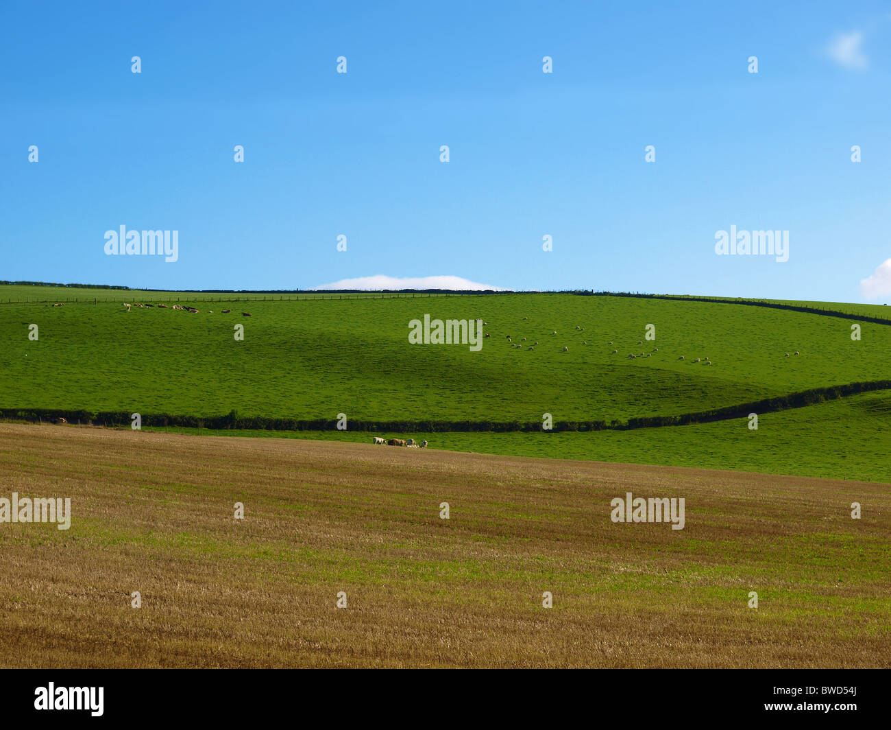 Cardross hi-res stock photography and images - Alamy