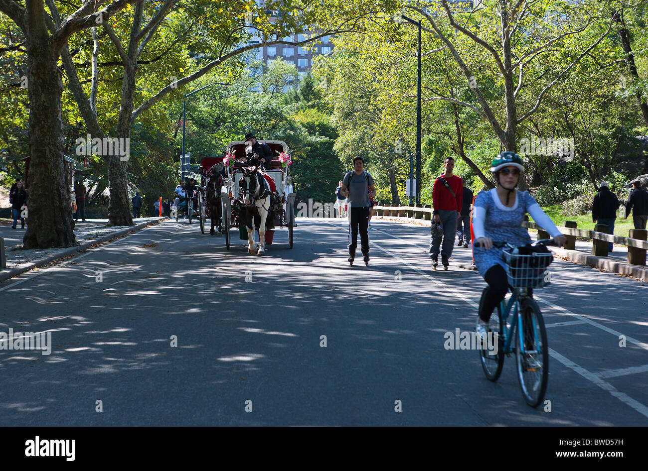 U.S.A., New York, Manhattan, people in the Central Park Stock Photo - Alamy