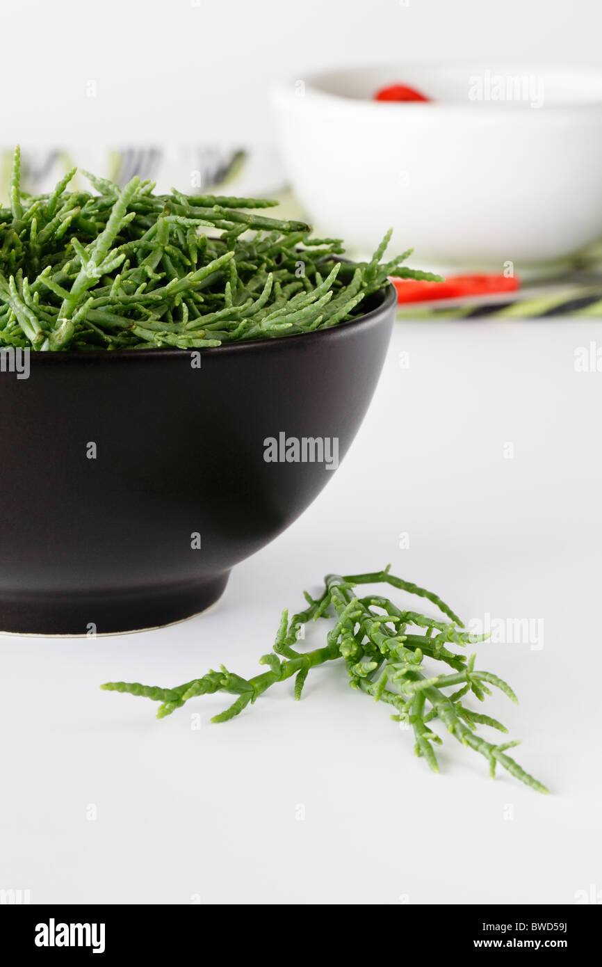 Samphire plant hi-res stock photography and images - Alamy