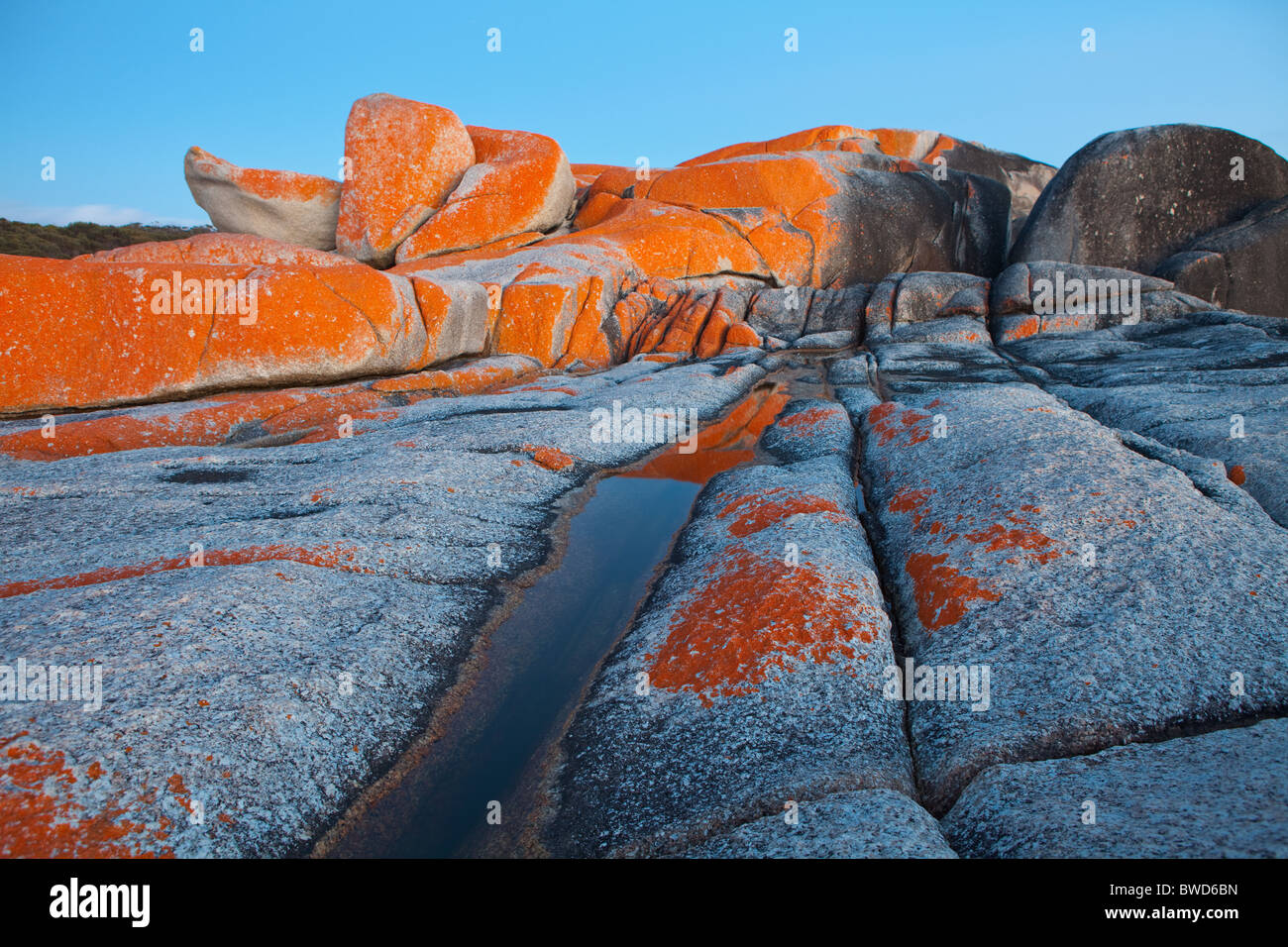 Dramatic sunrise photo of red oxide covered rocks in the Bay of Fires ...