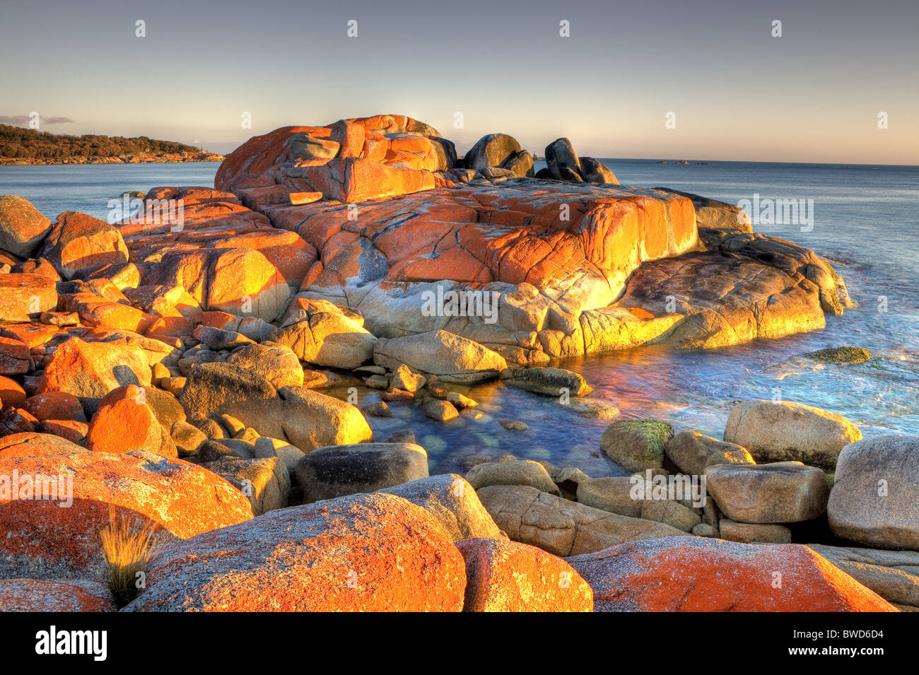 Red oxide on Tasmanian rocks at sunrise at the Bay of Fires Stock Photo ...