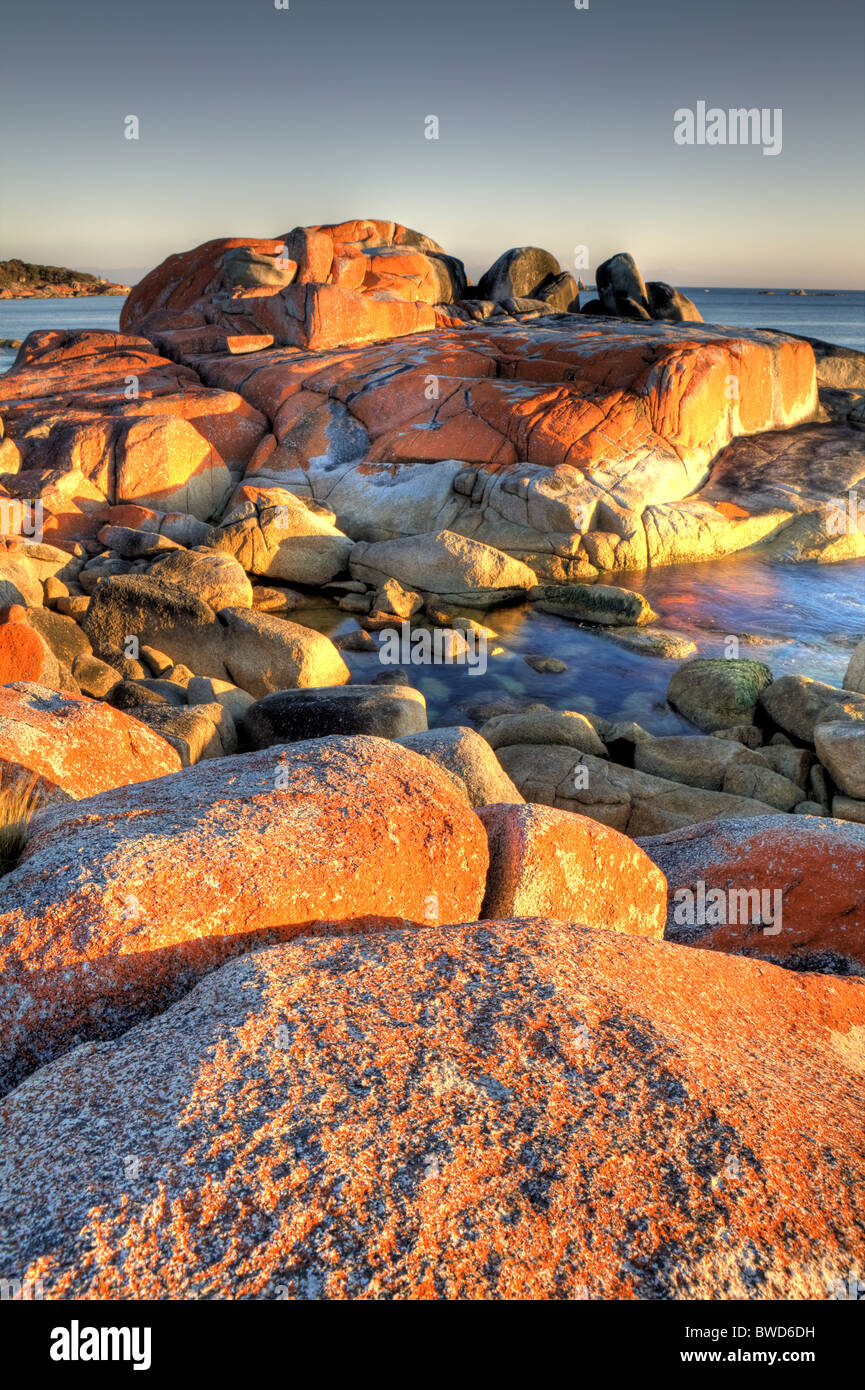 Red oxide on Tasmanian rocks at sunrise at the Bay of Fires Stock Photo ...