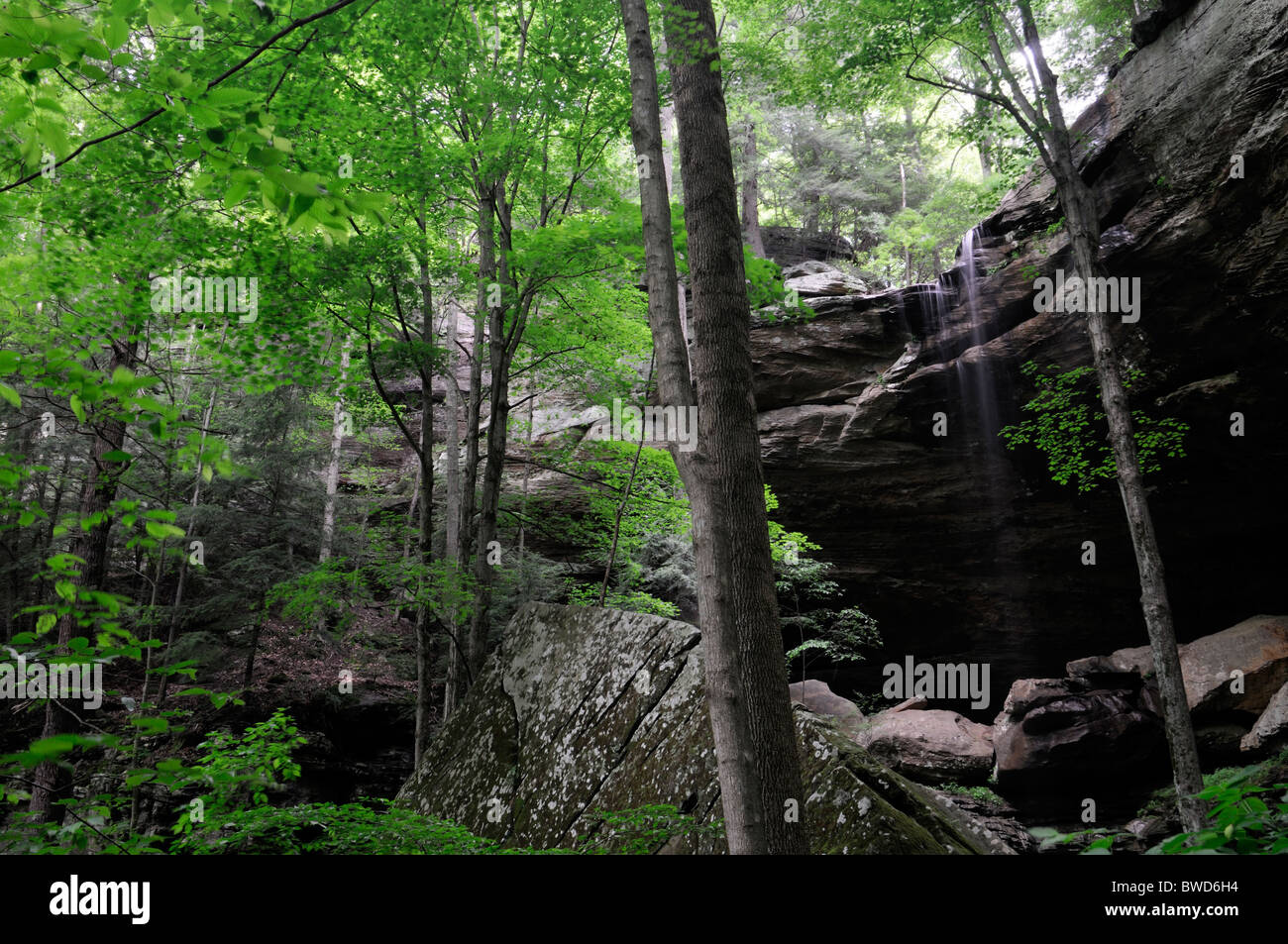 Anglin falls waterfall John B. Stephenson Memorial Forest State Nature ...