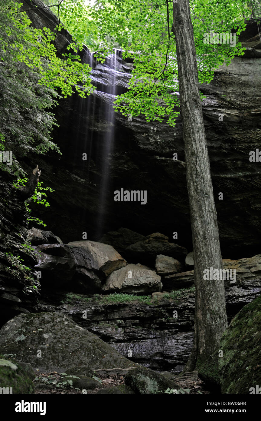 Anglin falls waterfall John B. Stephenson Memorial Forest State Nature ...