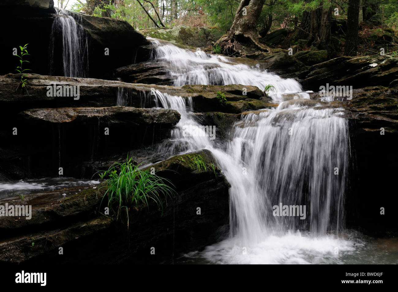 Broke leg broken leg falls waterfall Menifee county Kentucky USA upper ...