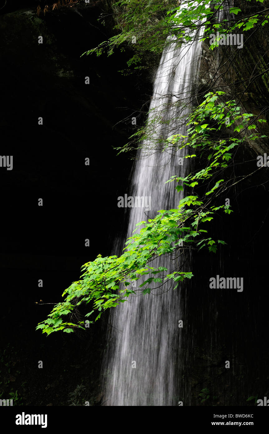 Broke leg broken leg falls waterfall Menifee county Kentucky USA Stock ...