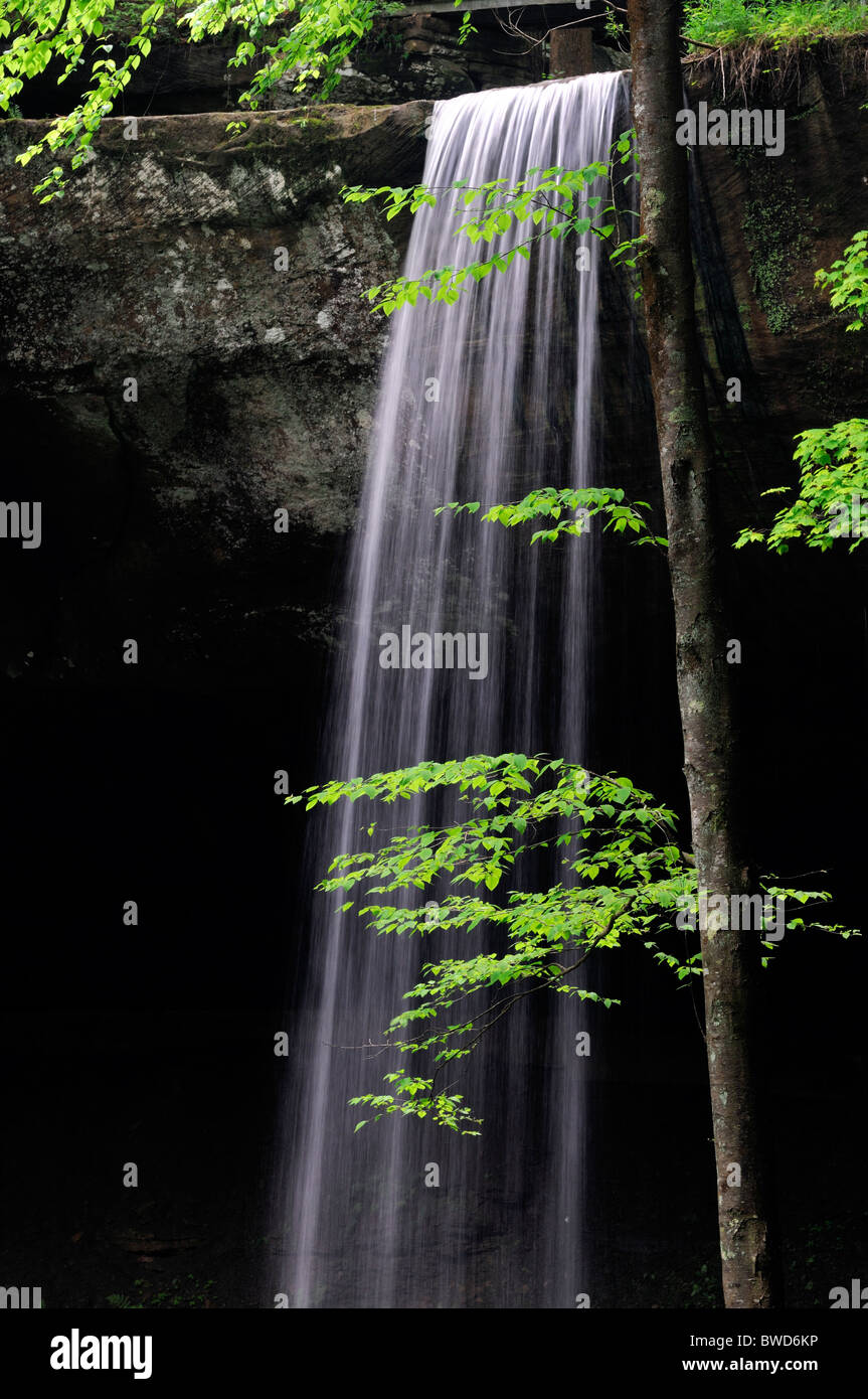 Broke leg broken leg falls waterfall Menifee county Kentucky USA Stock ...