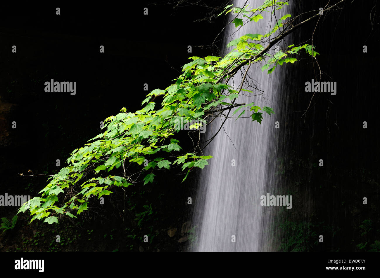 Broke leg broken leg falls waterfall Menifee county Kentucky USA Stock ...