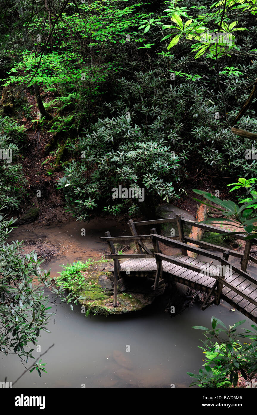 Broke leg broken leg falls waterfall Menifee county Kentucky USA bridge ...