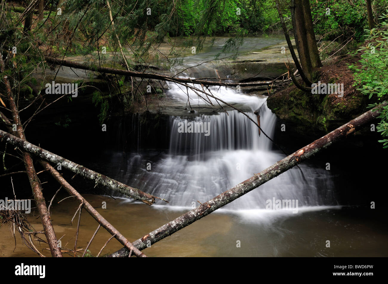 Creation Falls Waterfall Clifty Wilderness Red River Gorge Geological ...