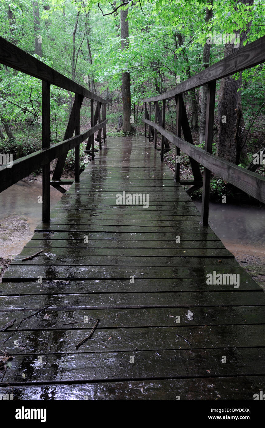 rain fall falling on wet wooden wood foot bridge footbridge grayson ...
