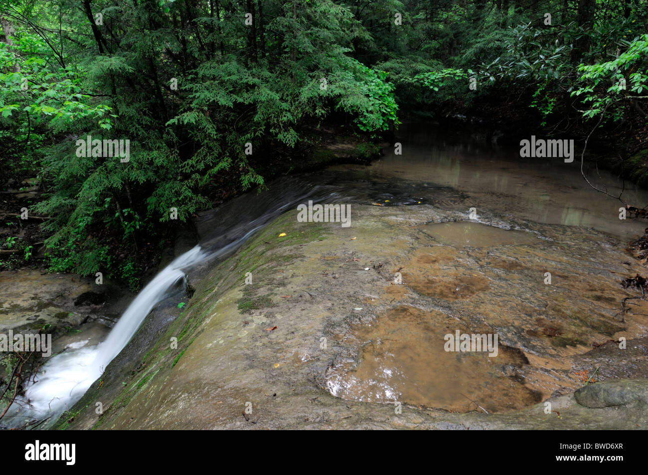 unnamed transient falls waterfall Grayson Lake State Park Kentucky USA ...