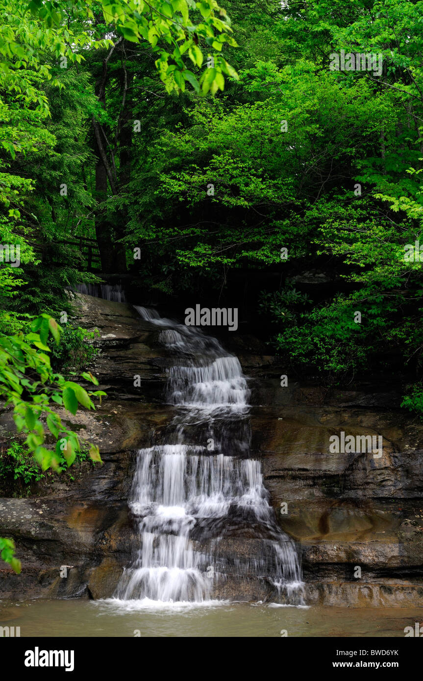 unnamed transient falls waterfall Grayson Lake State Park Kentucky USA ...