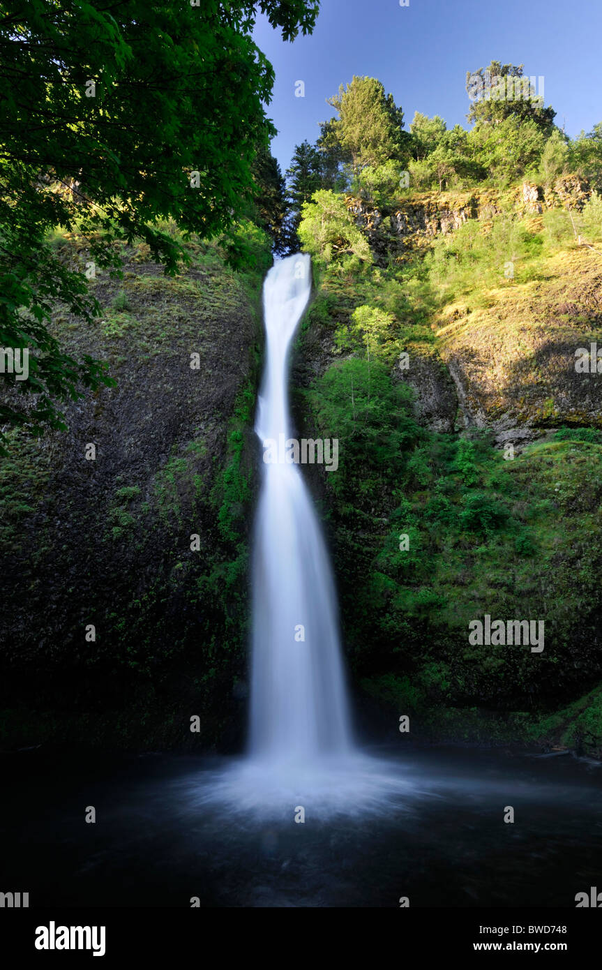 Horsetail Falls waterfall Columbia River Gorge Oregon Historic Columbia ...