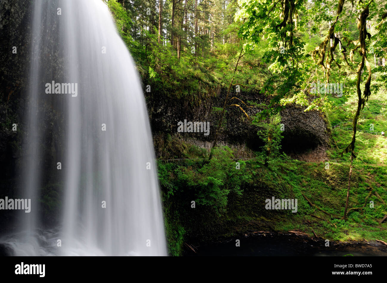 Lower South falls Silver Falls State Park Oregon USA Trail of Ten Falls ...