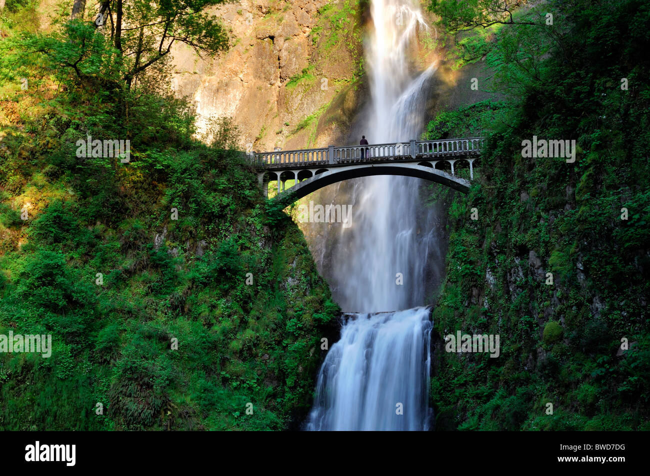 Multnomah Falls waterfall Benson Footbridge bridge Columbia River Gorge ...