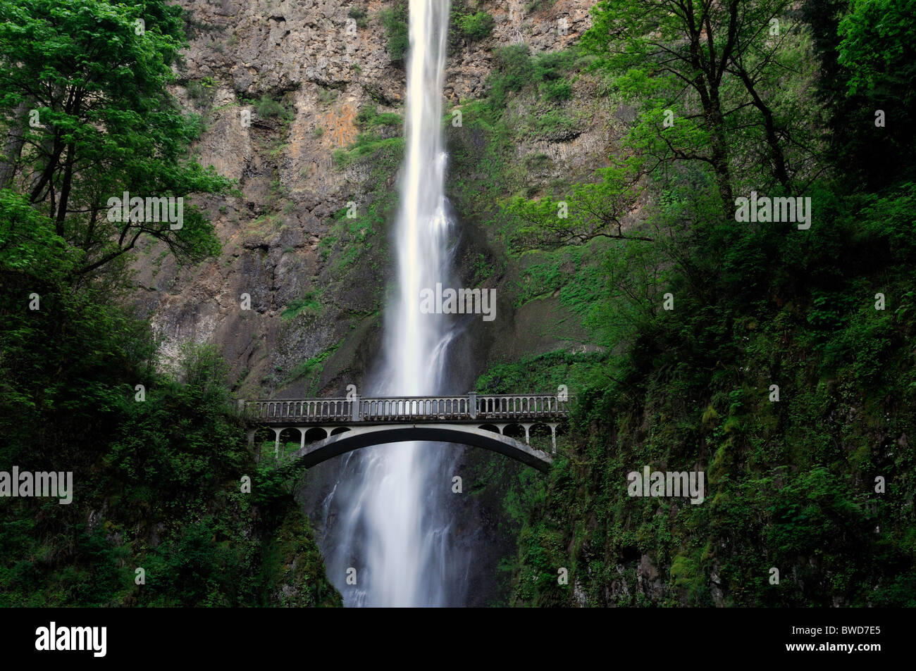 Multnomah Falls waterfall Benson Footbridge bridge Columbia River Gorge ...