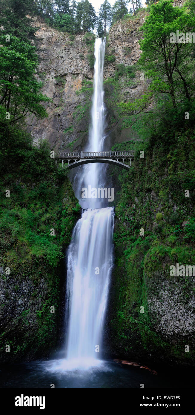 Multnomah Falls waterfall Benson Footbridge bridge Columbia River Gorge ...
