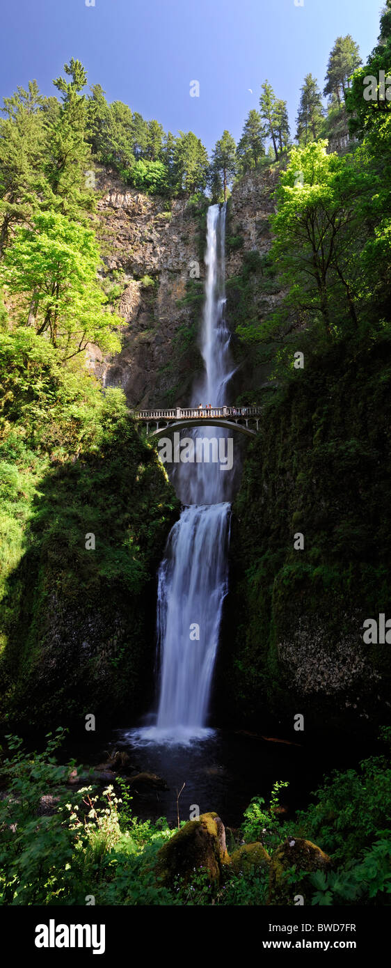 Multnomah Falls waterfall Benson Footbridge bridge Columbia River Gorge ...