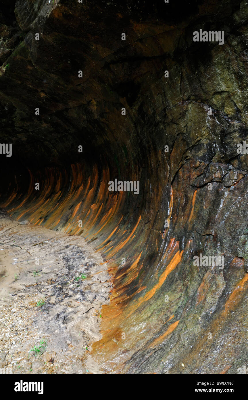 eroded river bed bend Clifty Wilderness Area Red River Gorge Geological ...