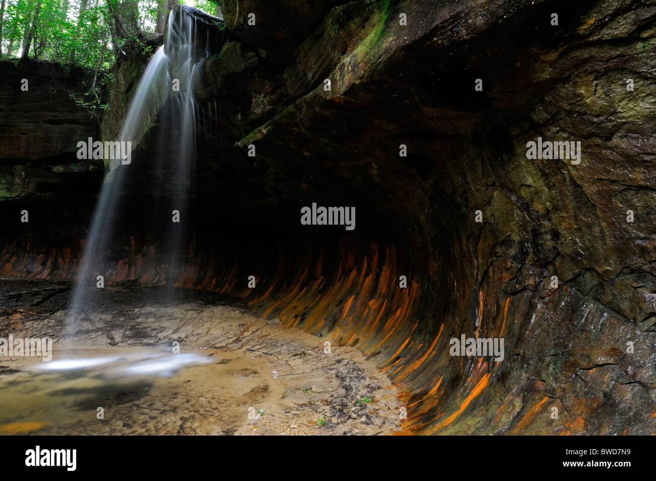 Pooch's Turtle Falls Waterfall Clifty Wilderness Area Red River Gorge ...
