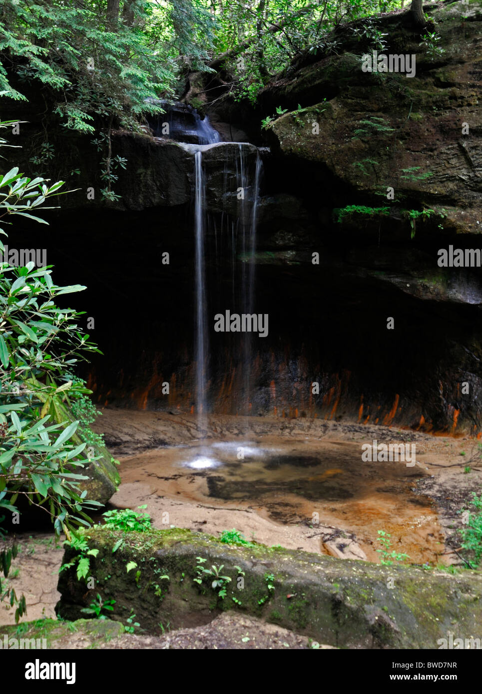 Pooch's Turtle Falls Waterfall Clifty Wilderness Area Red River Gorge ...