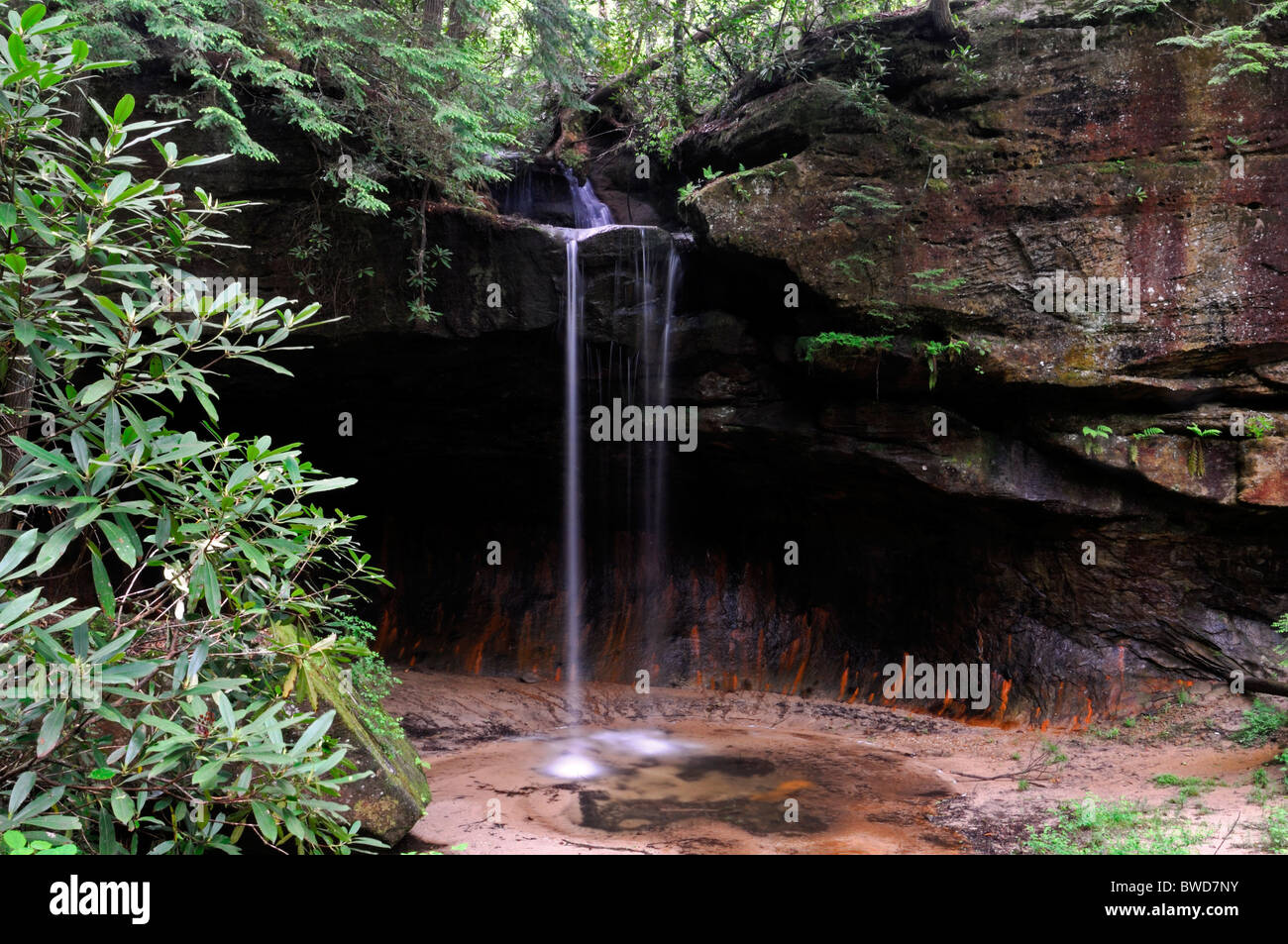 Pooch's Turtle Falls Waterfall Clifty Wilderness Area Red River Gorge ...