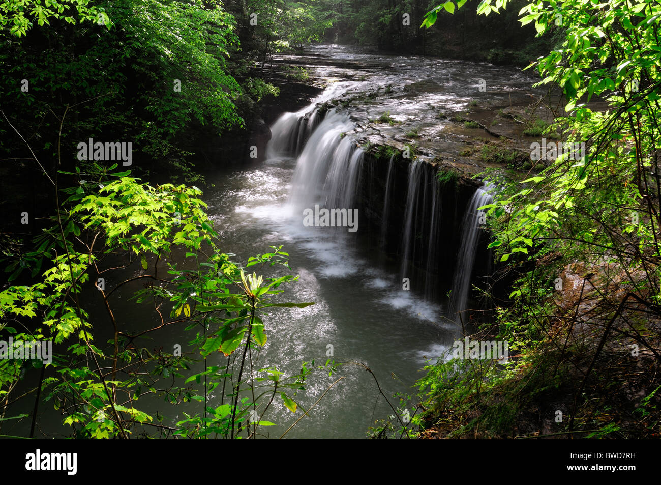 Princess falls waterfall on the lick creek trail Big South Fork ...