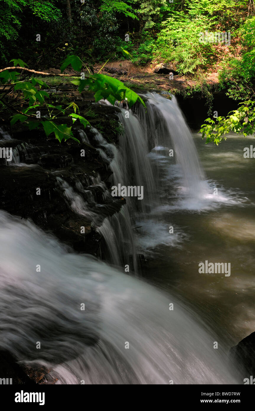 Princess falls waterfall on the lick creek trail Big South Fork ...