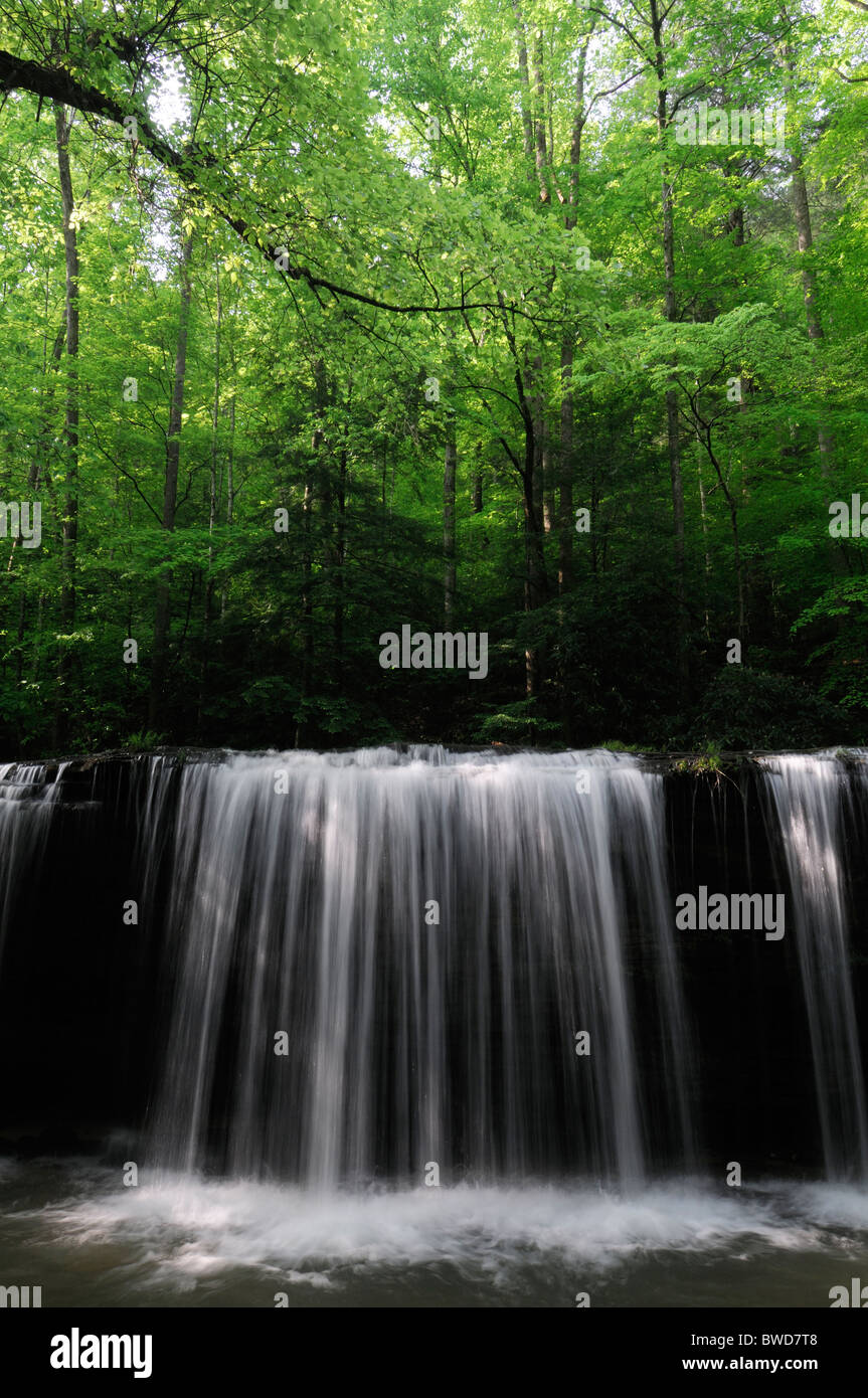 Princess falls waterfall on the lick creek trail Big South Fork ...