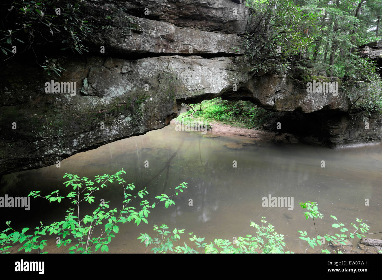 Rock Bridge Red River Gorge Geological Area Clifty Wilderness Slade ...
