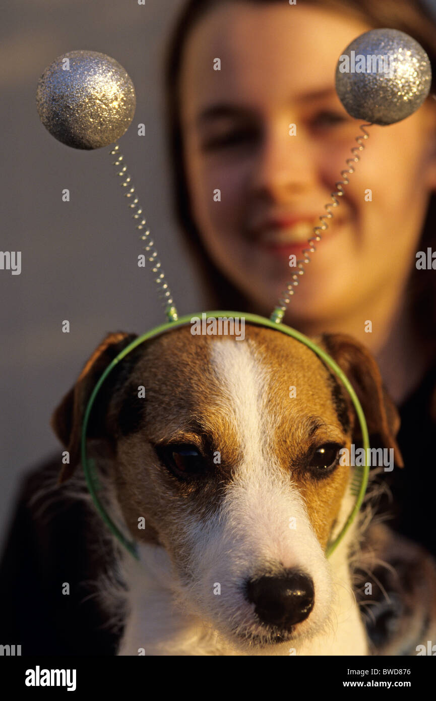 Jack Russell Terrier wearing alien antennas with girl in background ...