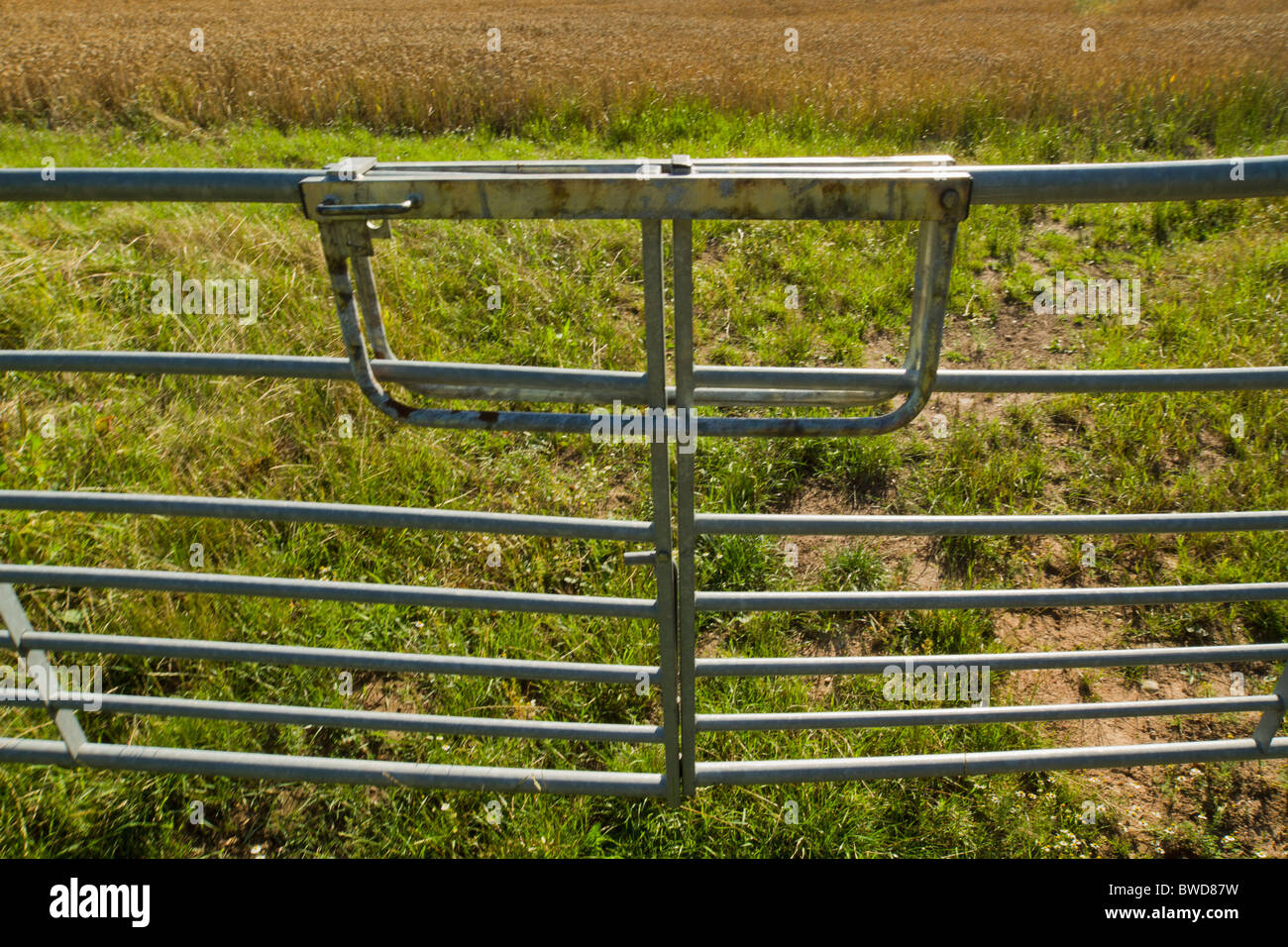 metal, gate, field, farm, crops, cereal, agriculture Stock Photo - Alamy