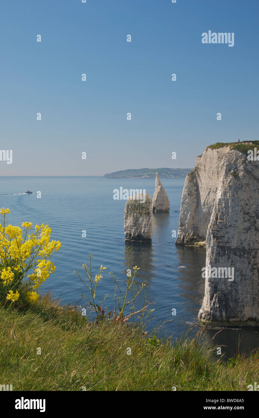Little Pinnacle and The Pinnacle viewed from Old Harry Stock Photo - Alamy