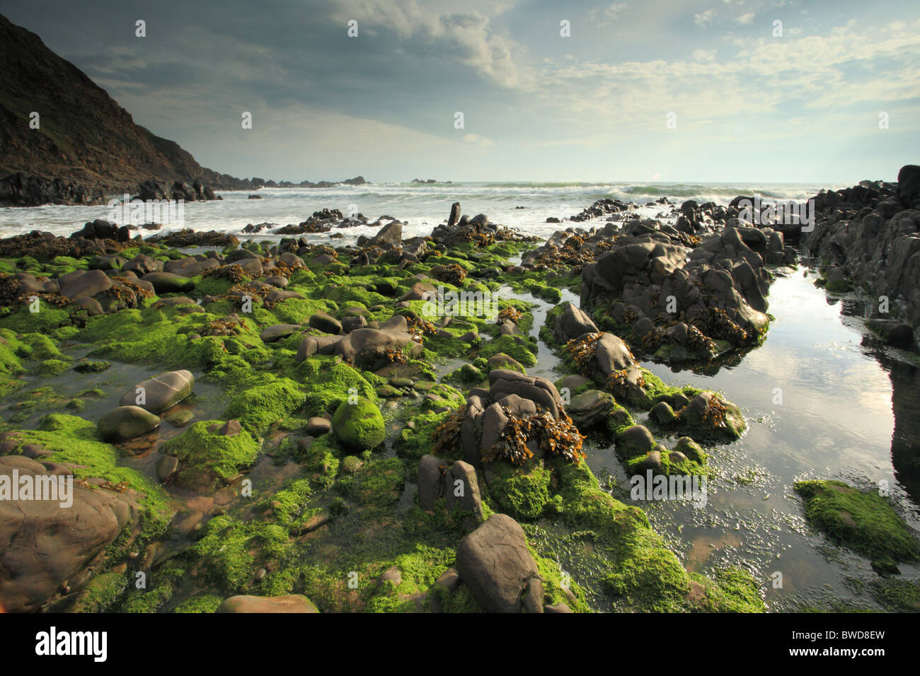 Duckpool, North Cornwall, England, UK Stock Photo - Alamy
