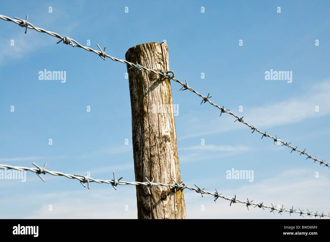 Barbed wire and fence post hi-res stock photography and images - Alamy