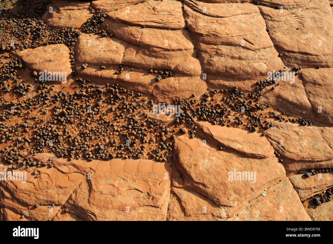 Wind blown sandstone hi-res stock photography and images - Alamy