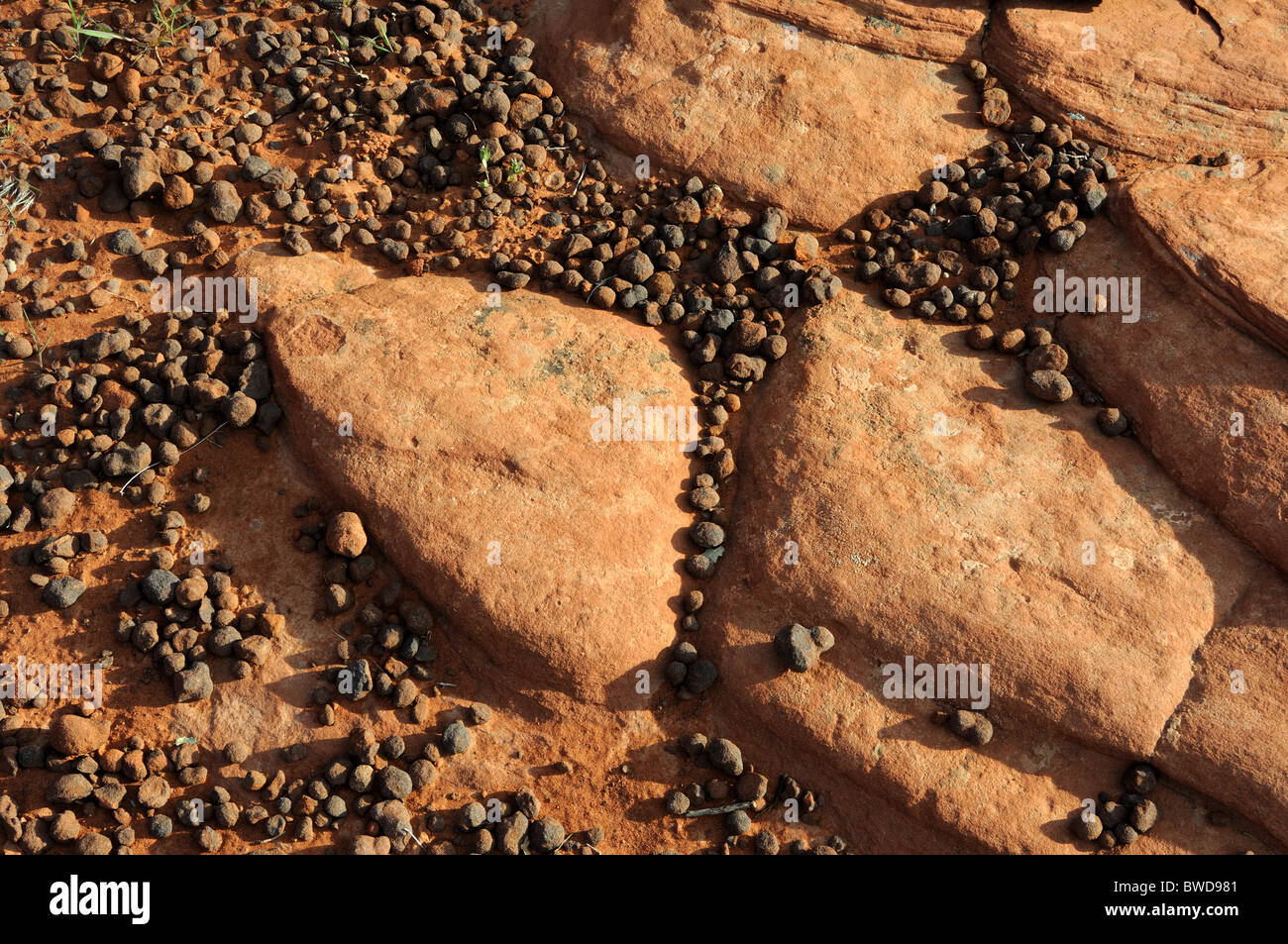 Sandstone and Pebble Background Stock Photo - Alamy