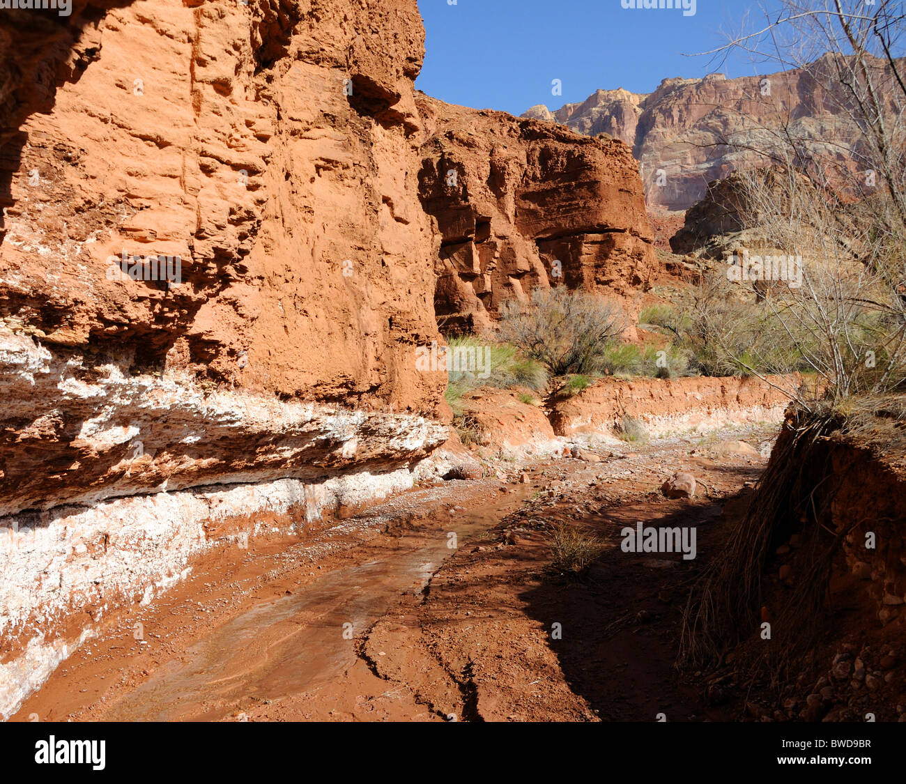 Undercutting of a cliff hi-res stock photography and images - Alamy