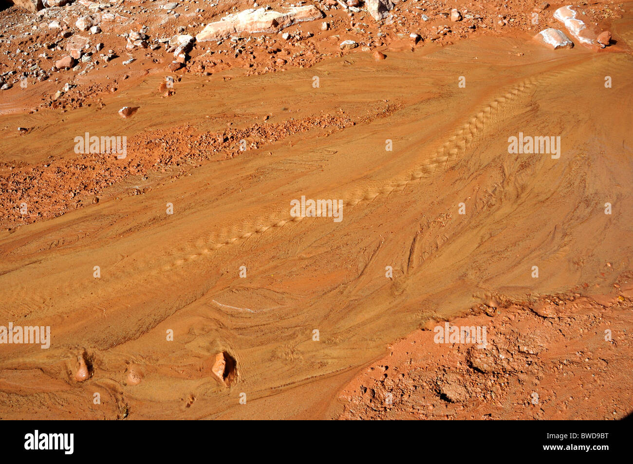 Small Desert Stream at the base of Vermilion Cliffs Stock Photo - Alamy