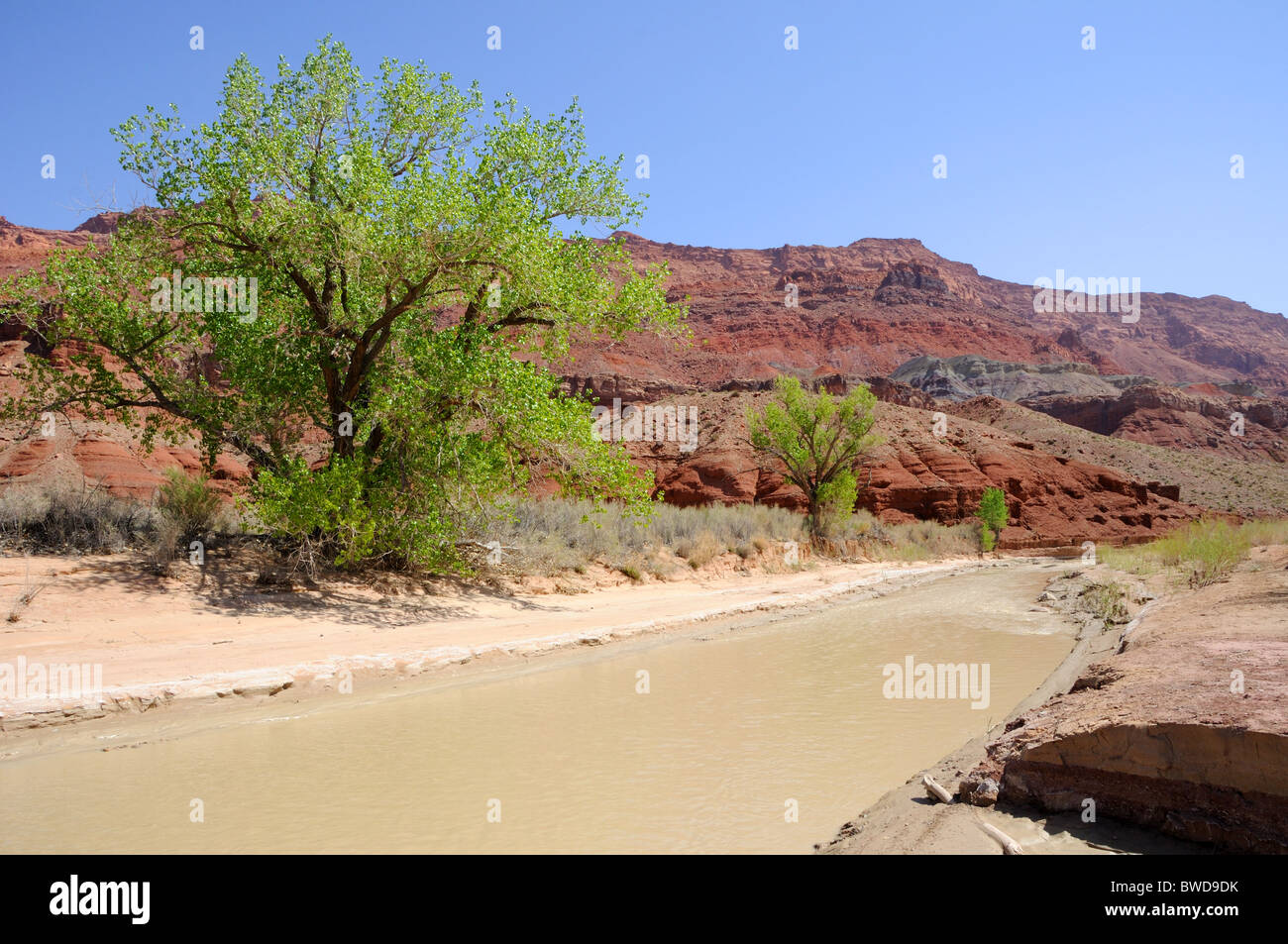 Paria Canyon River Flowing toward Lonely Dell Ranch Stock Photo - Alamy