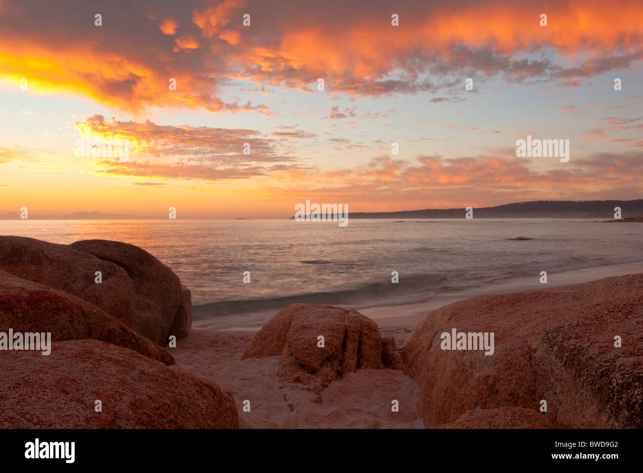 Sunrise over red lichen covered rocks at Cosy Corner in the Bay of ...