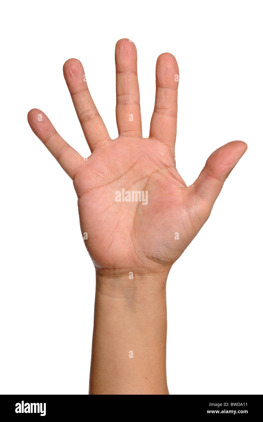 Open hand isolated over white background Stock Photo - Alamy